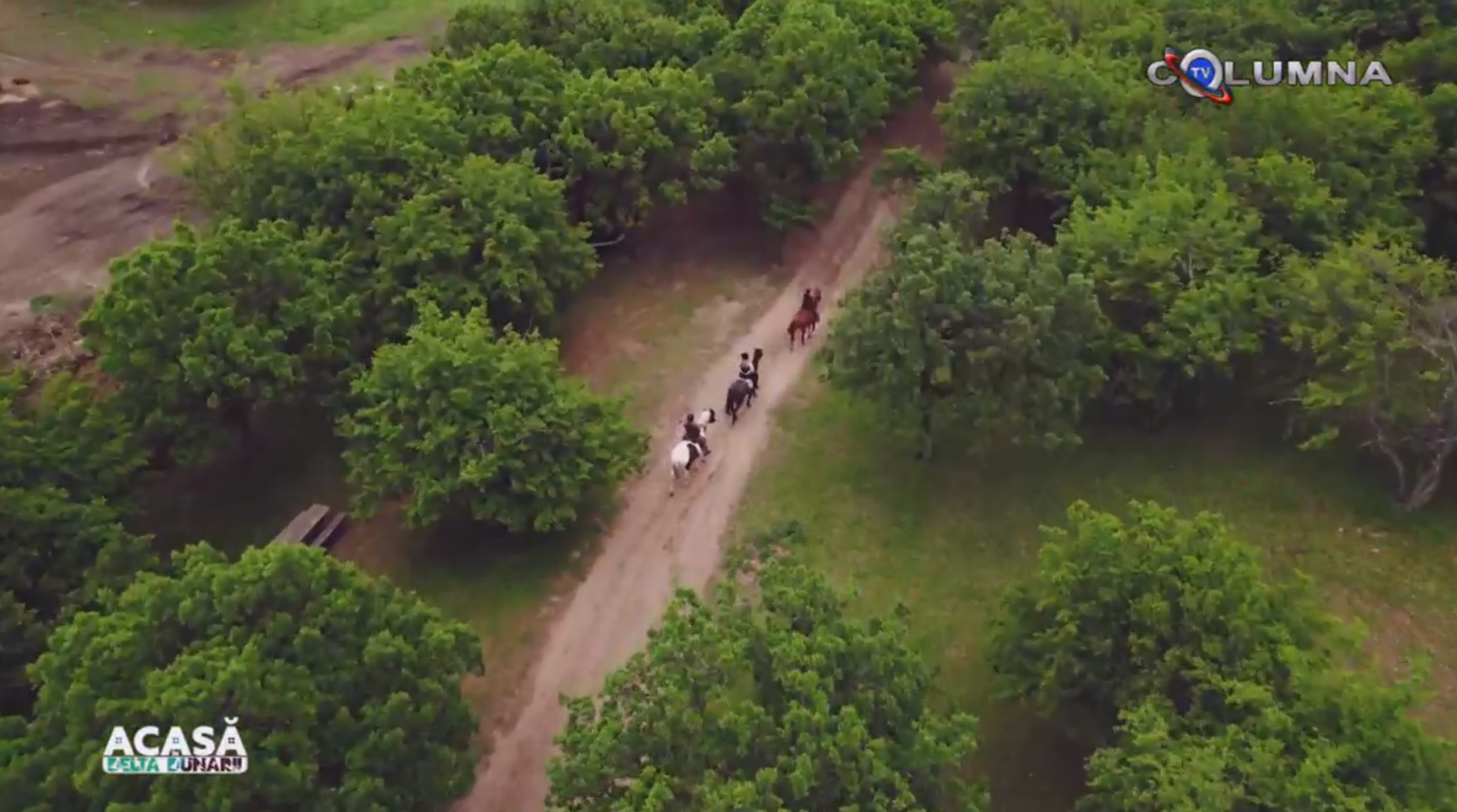 Columna TV se extinde – dvbnews.ro | Portal de stiri media si ...